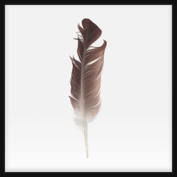 Retro & Vintage Art Prints | Optimalprint | Optimalprint