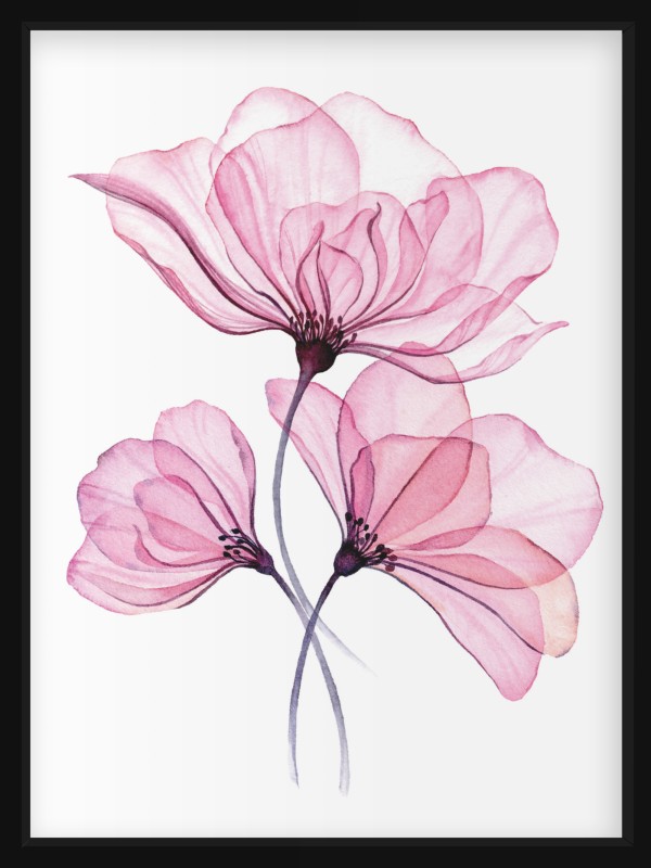 Affiches Fleurs | Optimalprint