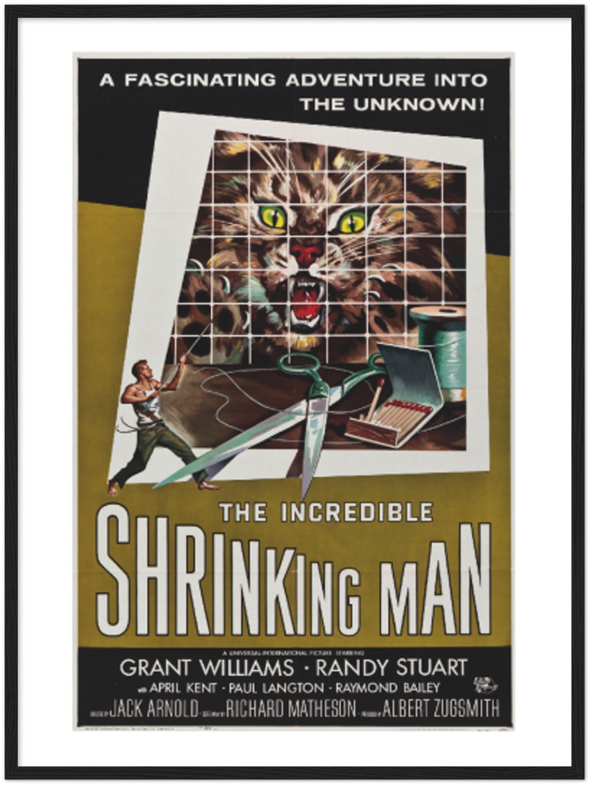 Incredible Shrinking Man Poster